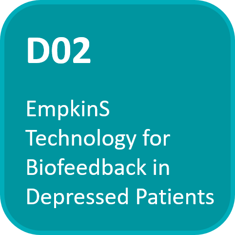 Subproject D02 - EmpkinS