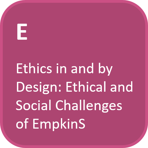 Subproject E - EmpkinS